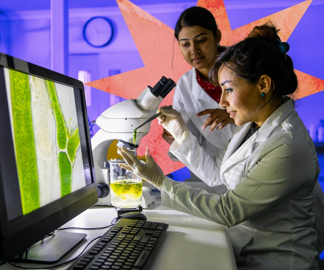 ¿Cuántas mujeres trabajan en carreras STEM? - La Cadera De Eva